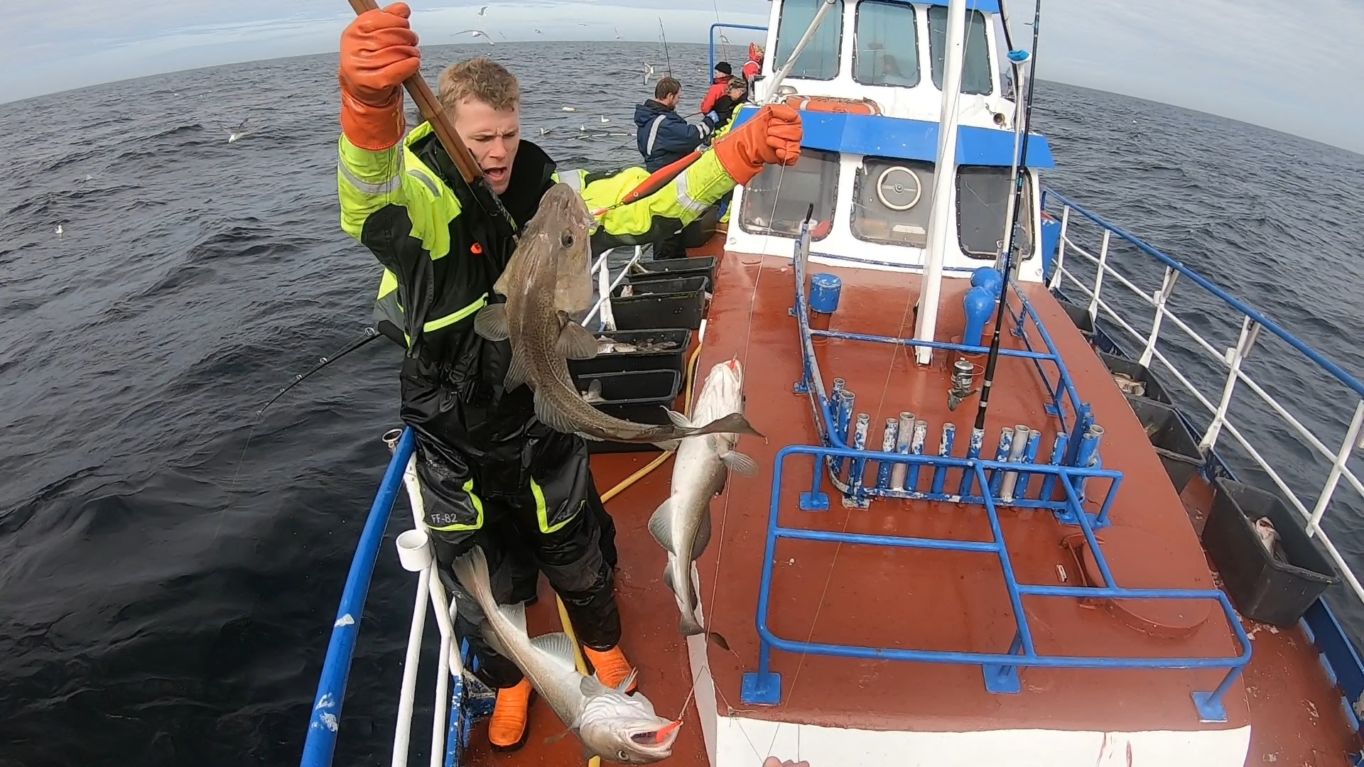 Gule rev havtur 28 marts 2019 - Med M/S Yellow Reef - Fangdinmad